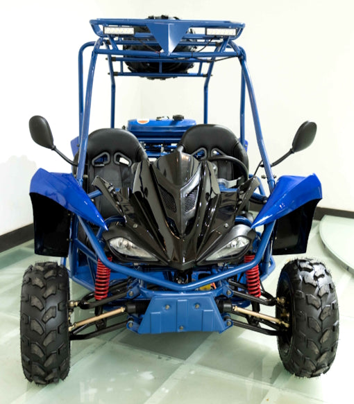 150cc Go Kart Full Size 2 Seater Go Kart Fully Automatic w/Reverse - R ...