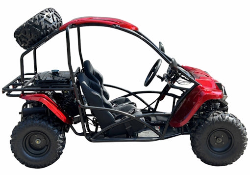 150cc Go Kart Full Size 2 Seater Go Kart Fully Automatic w/Reverse - T ...
