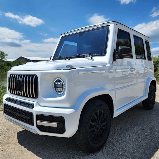 Coco Boxer Electric Golf Cart LSV 4 Passenger Low Speed Vehicle With A ...