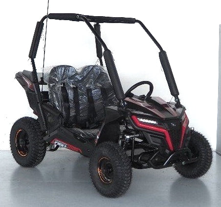 Trailmaster 200cc Go Kart Fully Automatic w/Reverse - Cheetah 6 ...