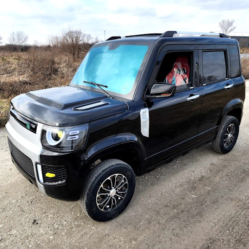 Electric 4 Door Coco Trooper 60v Electric Golf Cart LSV With Rear Trun ...