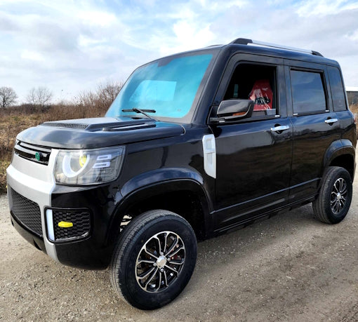 Electric 4 Door Coco Trooper 60v Electric Golf Cart LSV With Rear Trun ...