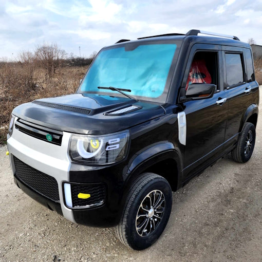 Electric 4 Door Coco Trooper 60v Electric Golf Cart LSV With Rear Trun ...