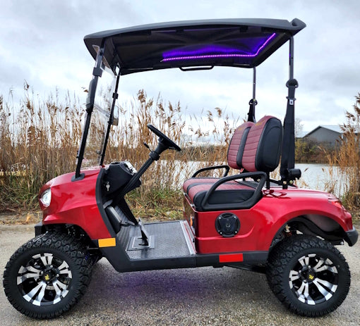 48V Electric Golf Cart 2 Seater Renegade Light Edition Utility Golf UT ...