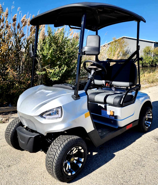 48V Electric Golf Cart 2 Seater Renegade X Edition Golf Cart w/ Golf B ...