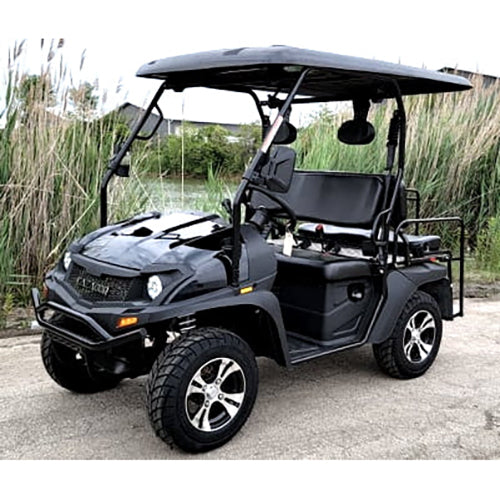 GSI - 200cc GVX - Gas Golf Cart UTV Hybrid Linhai Big Hammer 200 GVX S ...