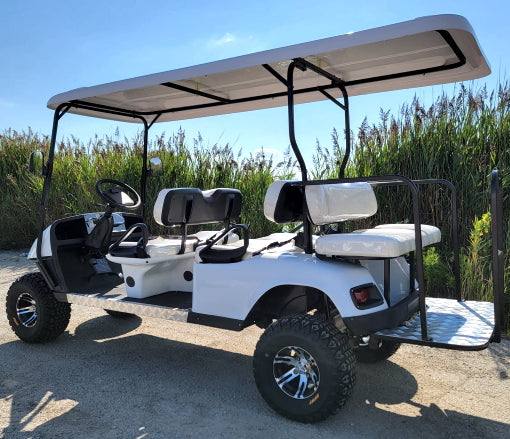 6 Passenger WildCat 48v Electric Golf Cart Limo LSV Low Speed Vehicle ...